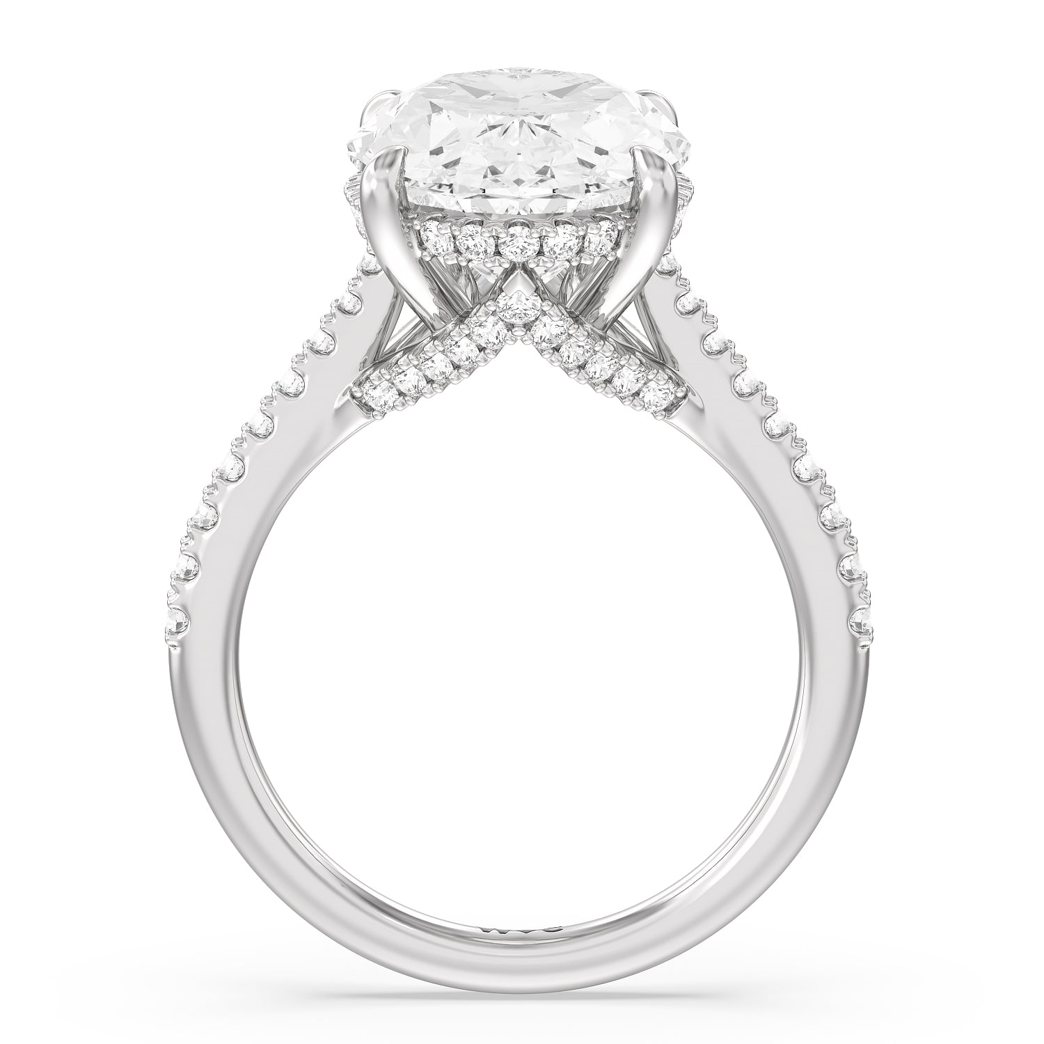 Posh Hidden Halo Ring – With Clarity
